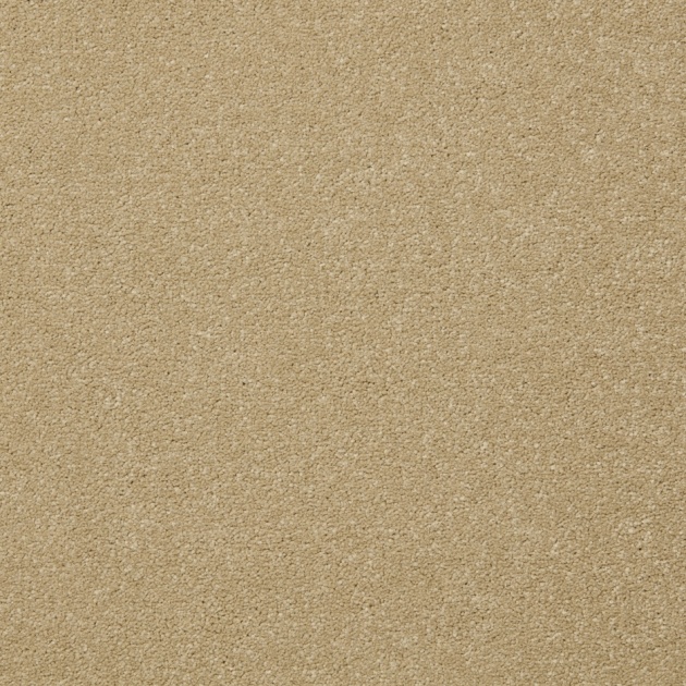 Cormar Carpets Primo Plus Bleach Cleanable Carpet | From £14.95 / sq. metre