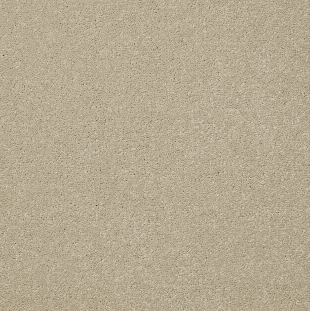 Cormar Carpets Primo Plus Bleach Cleanable Carpet | From £14.95 / sq. metre