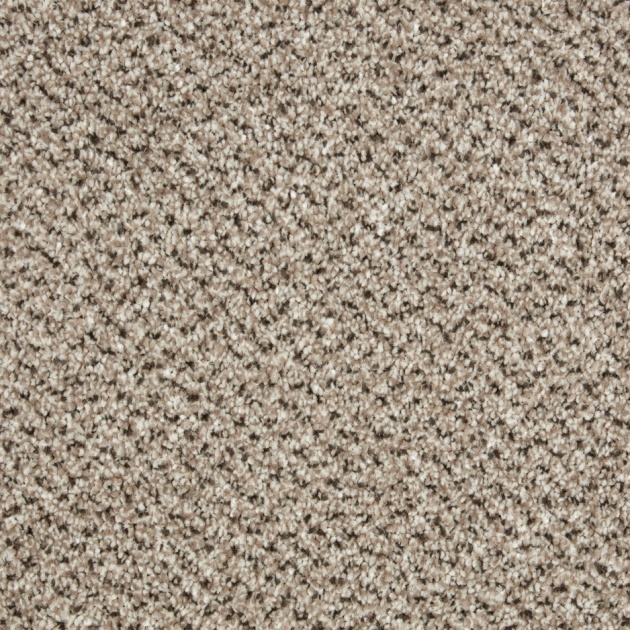 Cormar Carpets Primo Tweeds Bleach Cleanable Carpet | From £16.95 / sq ...