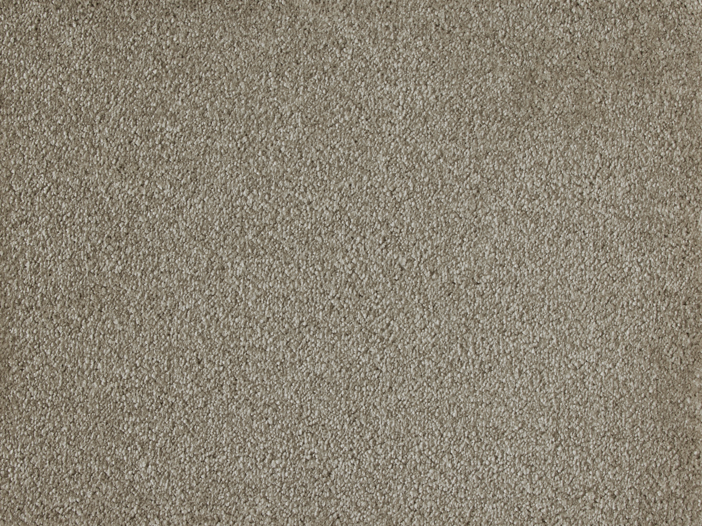 Lano Satine Luxury Carpet | From £47.95 / sq. metre