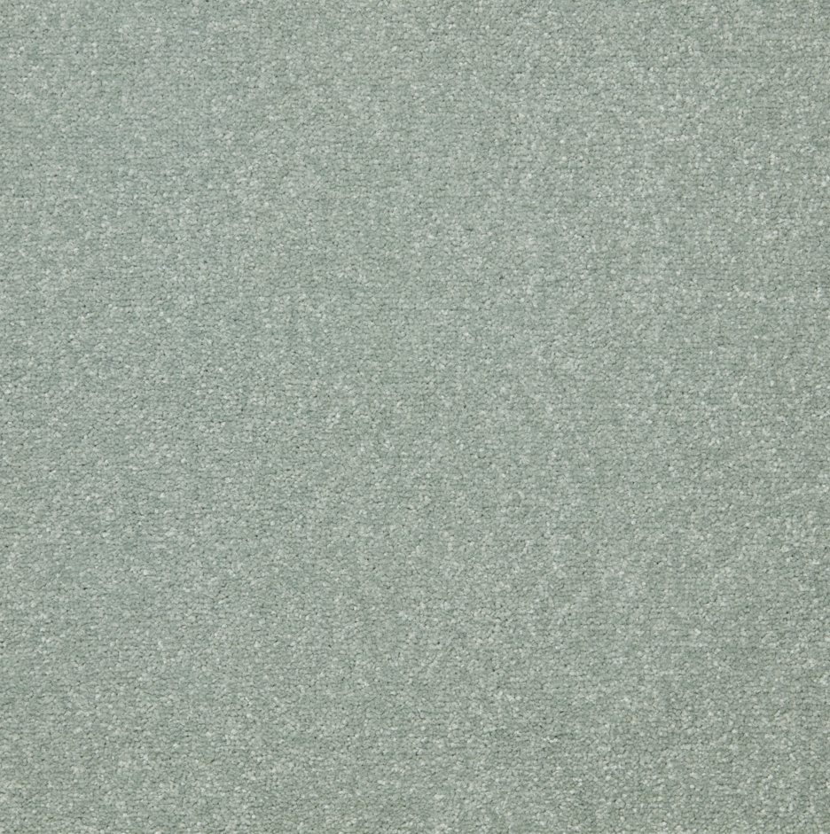 Cormar Carpets Primo Plus Bleach Cleanable Carpet | From £14.95 / sq. metre