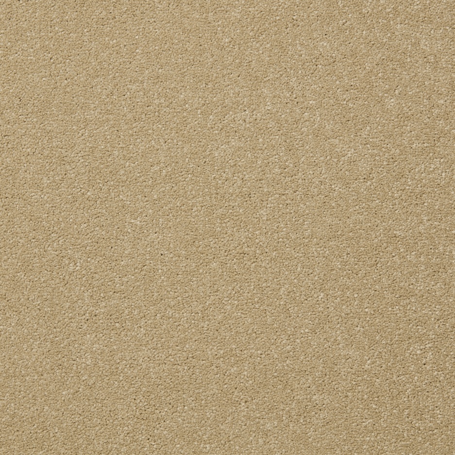 Cormar Carpets Primo Plus Bleach Cleanable Carpet | From £14.95 / sq. metre