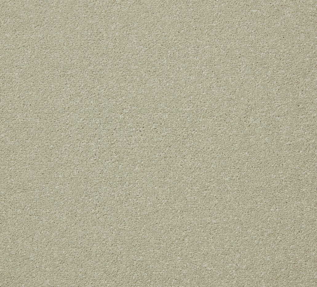 Cormar Carpets Primo Plus Bleach Cleanable Carpet | From £14.95 / sq. metre