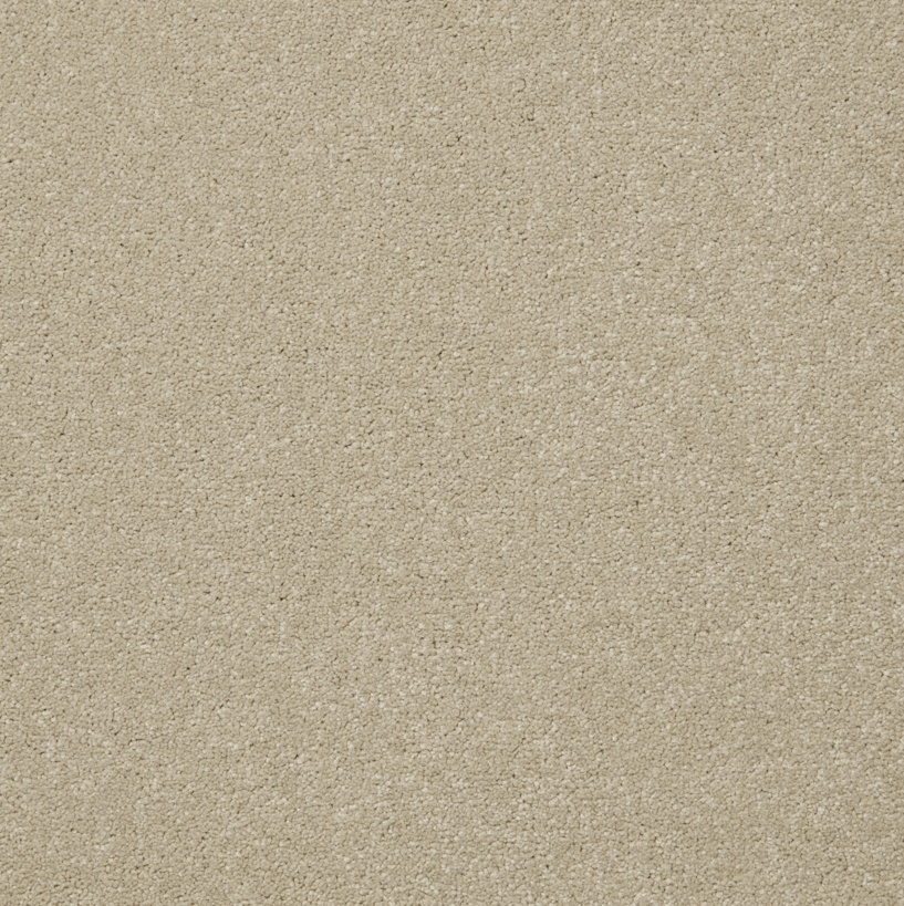 Cormar Carpets Primo Plus Bleach Cleanable Carpet | From £13.95 / sq. metre