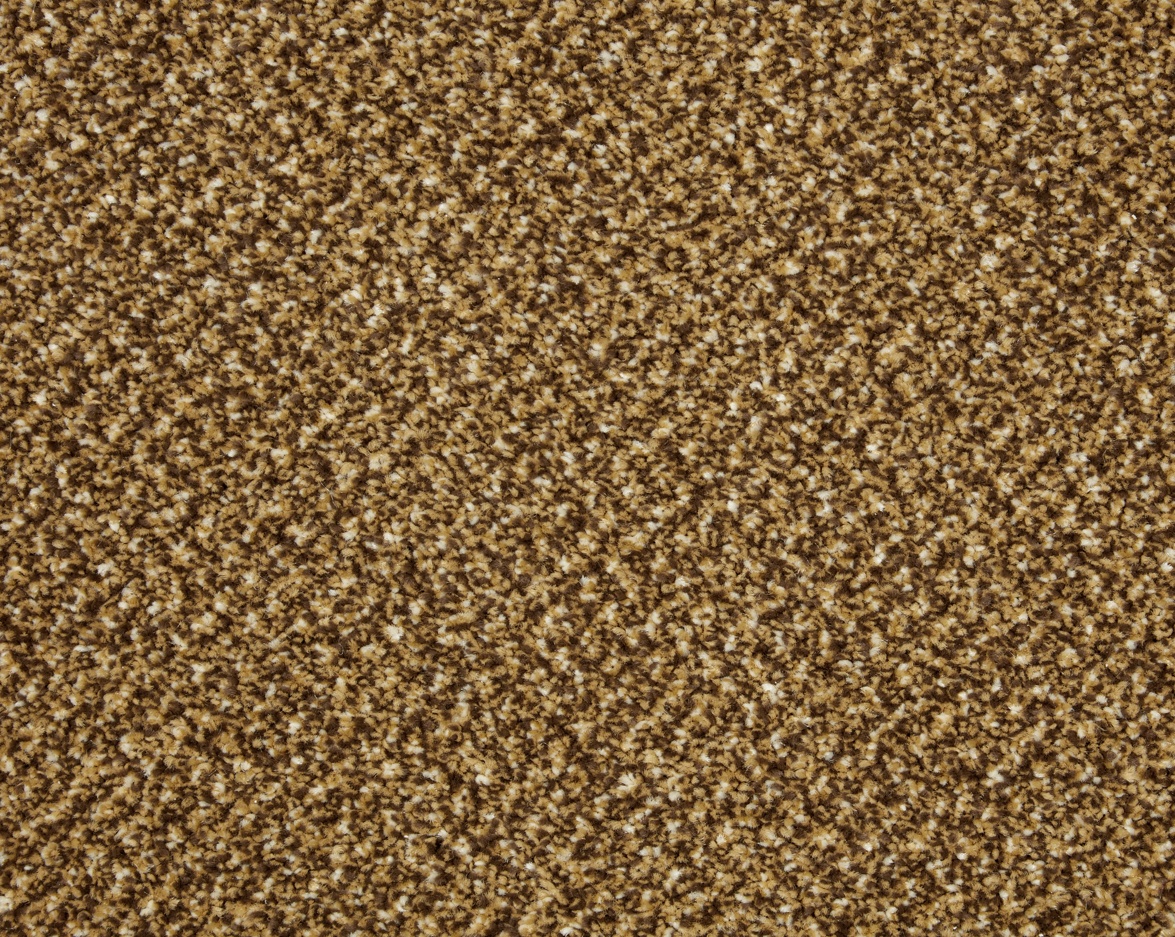 Cormar Carpets Primo Tweeds Bleach Cleanable Carpet | From £16.95 / sq ...