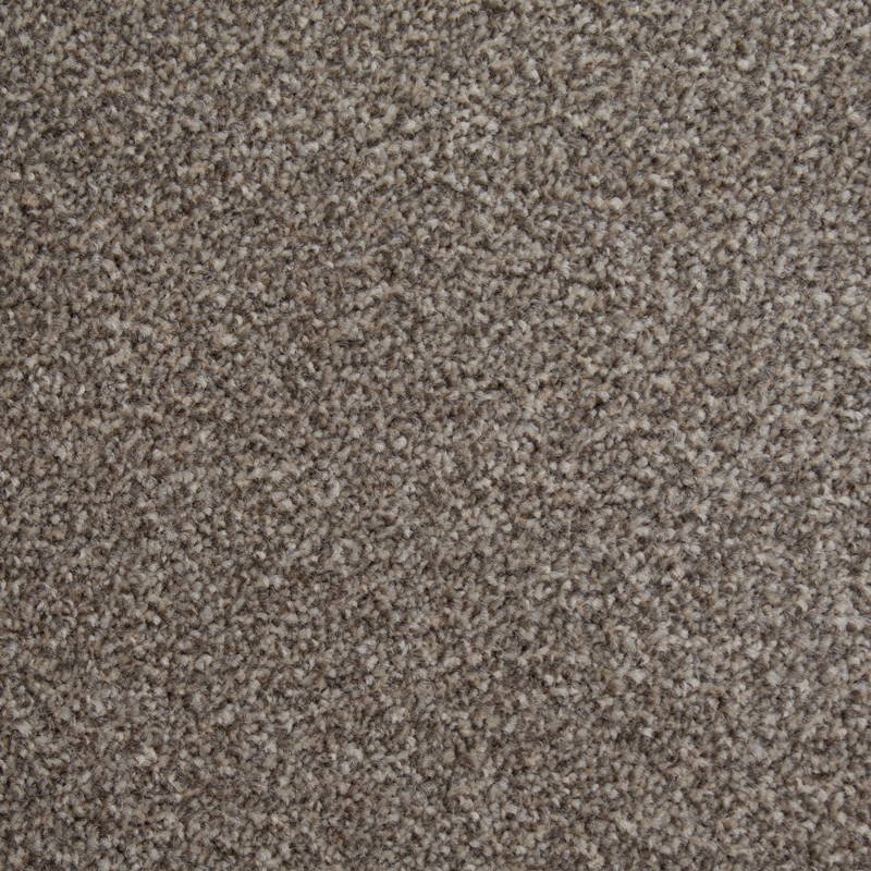 Lifestyle Floors Canterbury Extra Carpet | SPECIAL OFFER