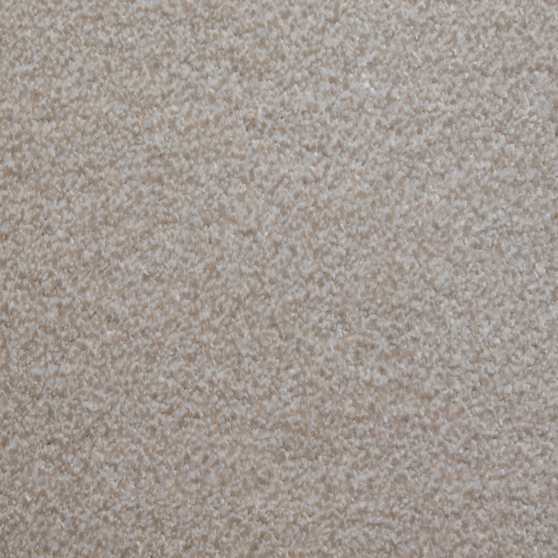 Lifestyle Floors Canterbury Plus Carpet | SPECIAL OFFER