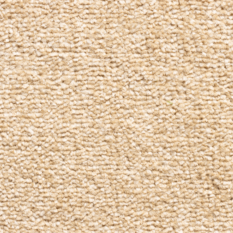 Lifestyle Floors Chapter Carpet | SPECIAL OFFER
