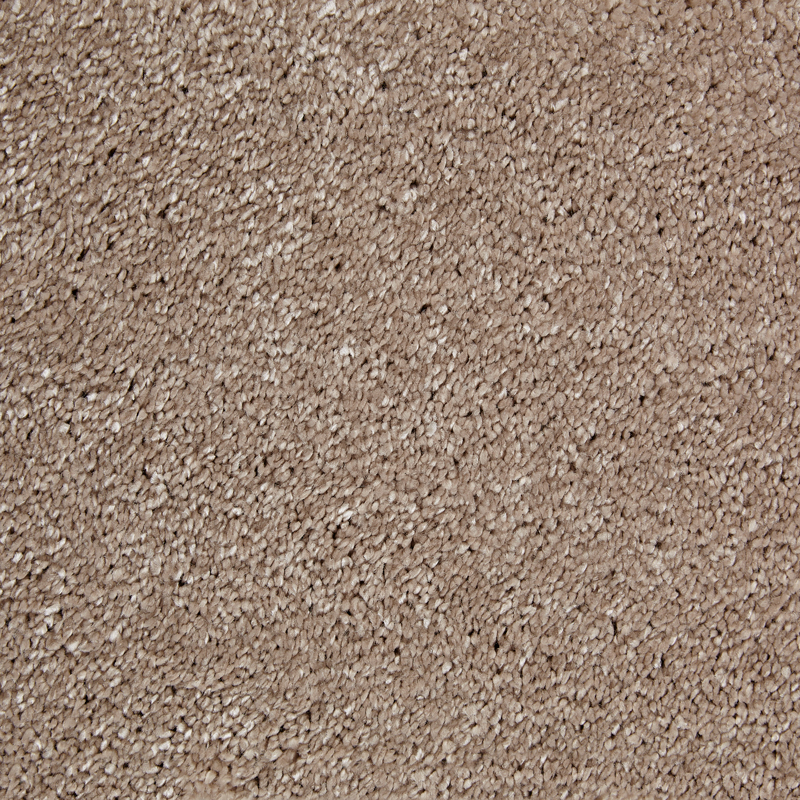 Lifestyle Floors Heavenly Exclusive Carpet | SPECIAL OFFER