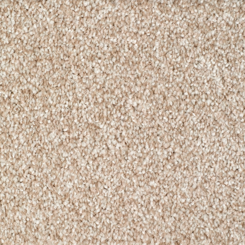 Everyroom Rye Bleach Cleanable Deep Pile Carpet | From £11.95 / sq. metre
