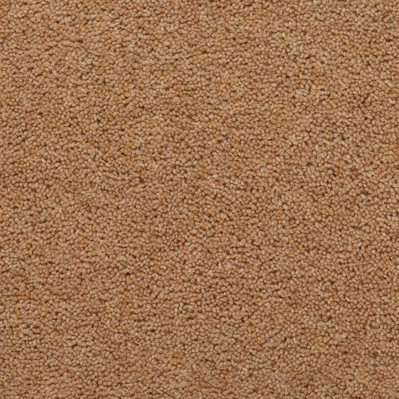 Lifestyle Floors Summit Elite 80% Wool Luxury Twist Carpet | From £23. ...
