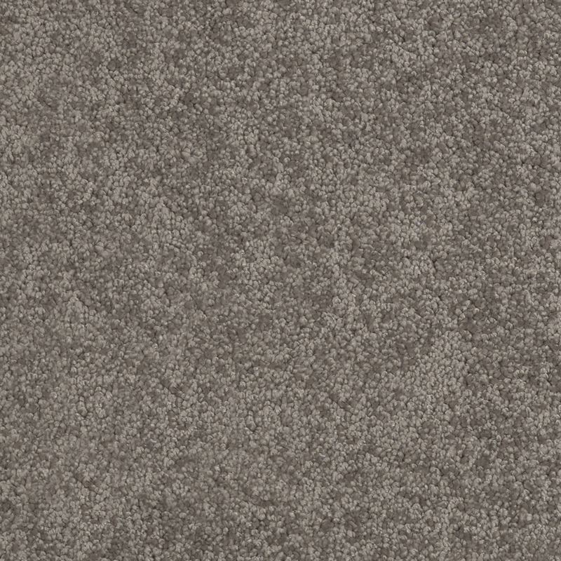 Lifestyle Floors Daintree Bleach Cleanable Carpet - 100% Recycled Yarn | £22.95 / sq. metre