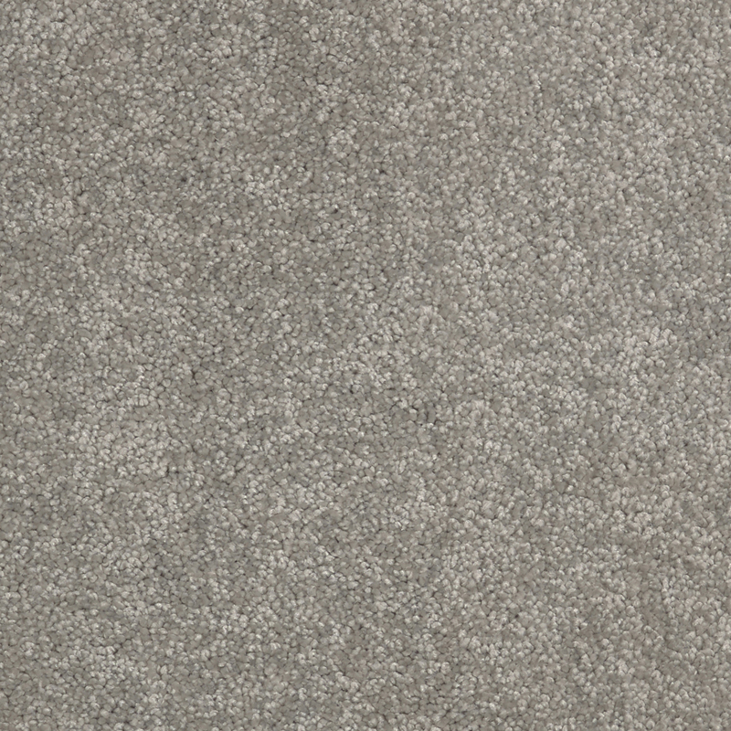 Lifestyle Floors Daintree Bleach Cleanable Carpet - 100% Recycled Yarn ...