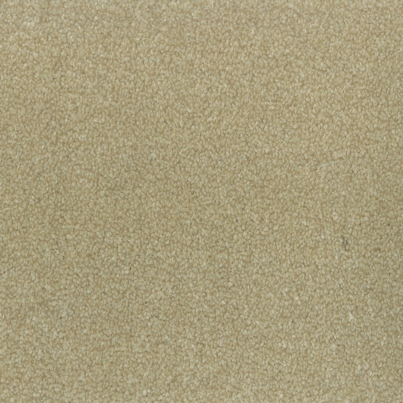 Lifestyle Floors Cosmic Twist Carpet | SPECIAL OFFER