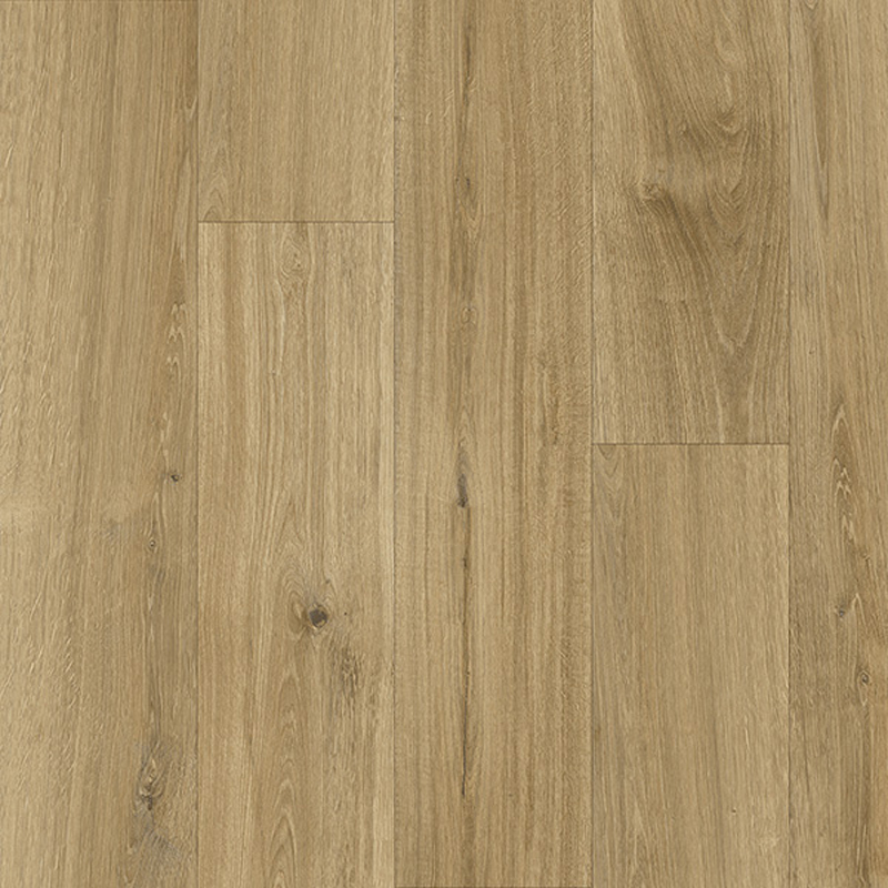 Enrich Oak Vinyl | SPECIAL OFFER