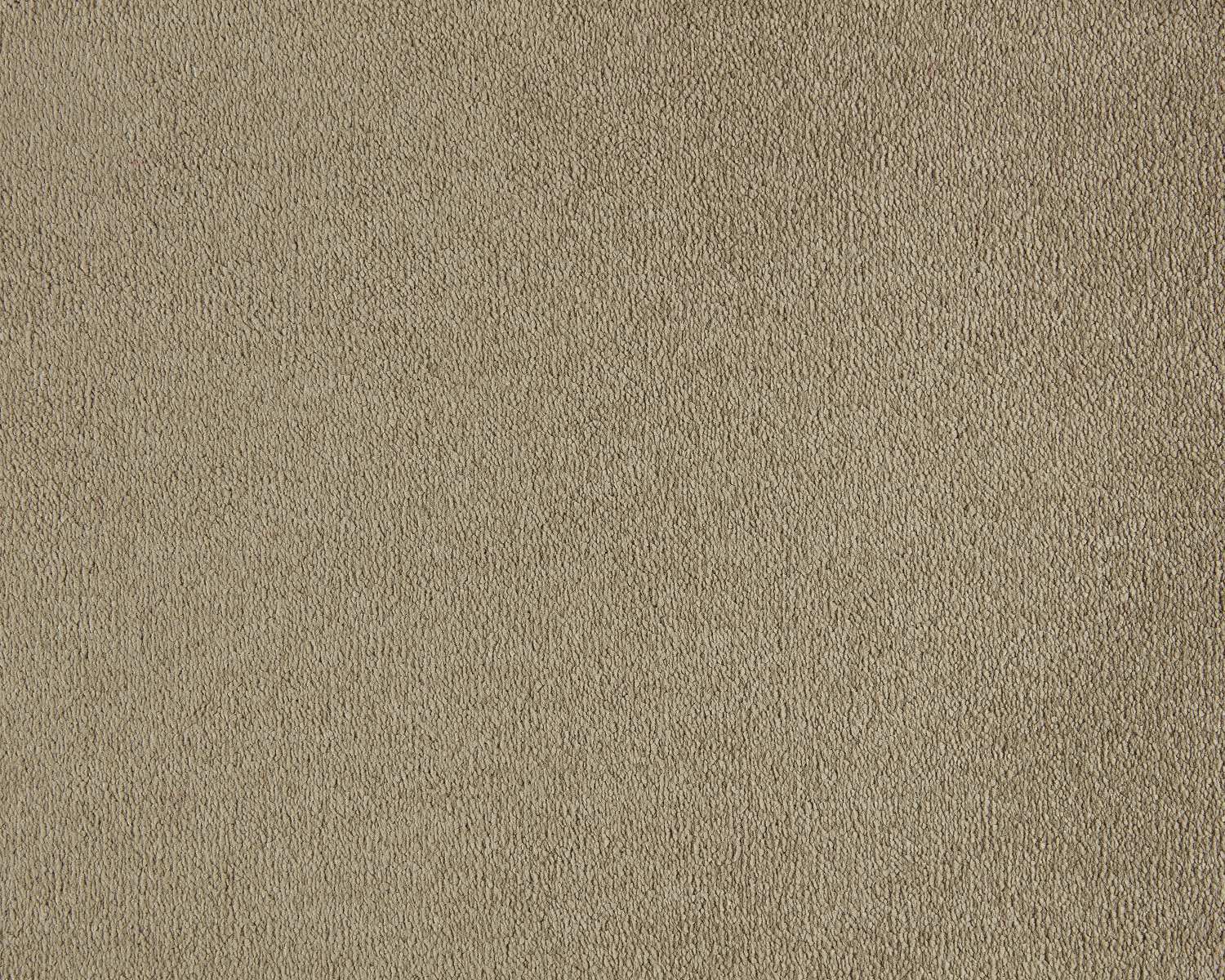 Lano SmartStrand Lior - Forever Clean Carpet | From £45.95 / sq. metre